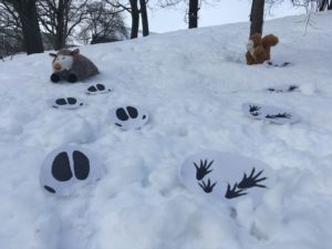 Talveprogramm (loomade elu talvel) - Tartu loodusmaja